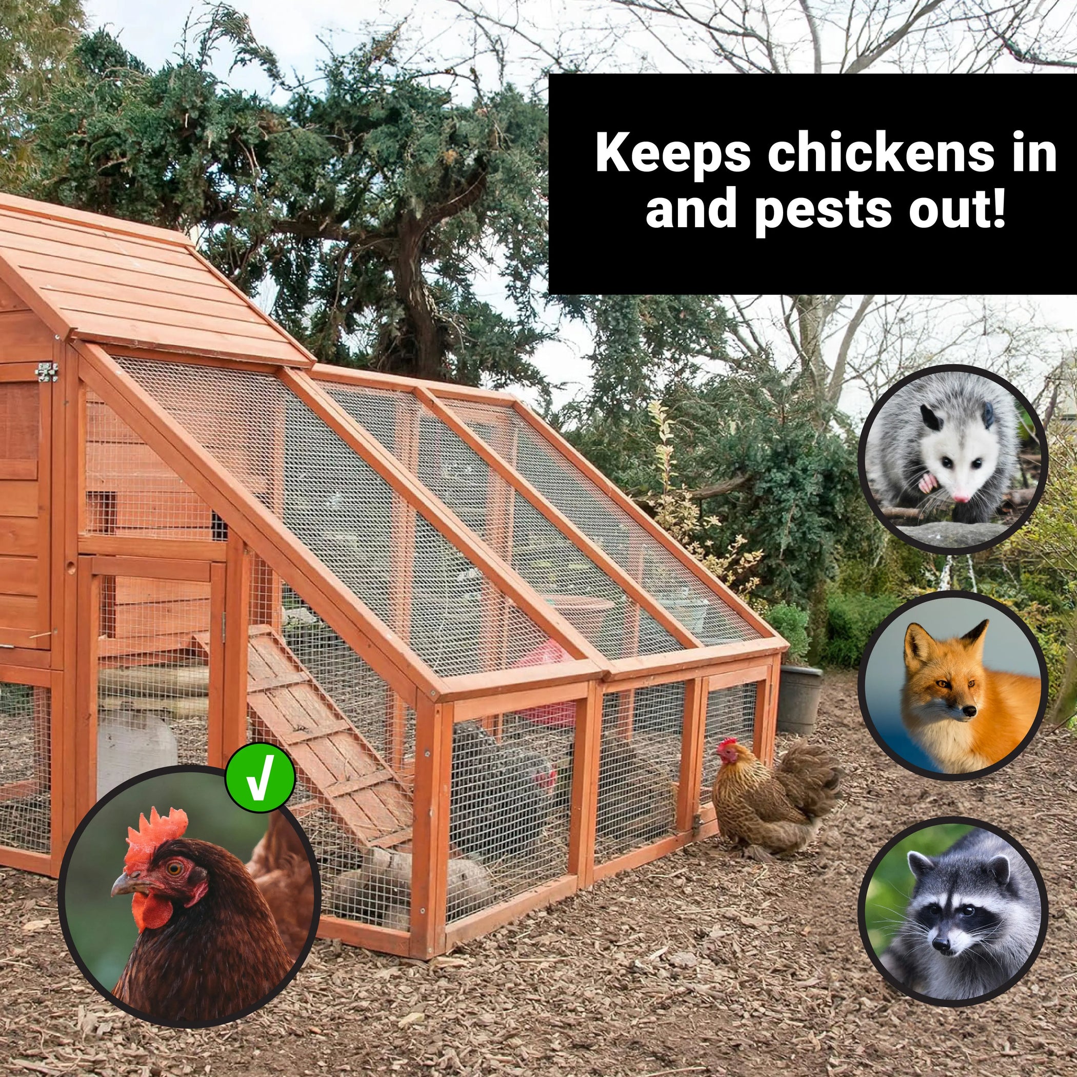 Hardware Cloth 1/2 inch 48in x 100 ft, 19 Gauge Square, Chicken Coop ...